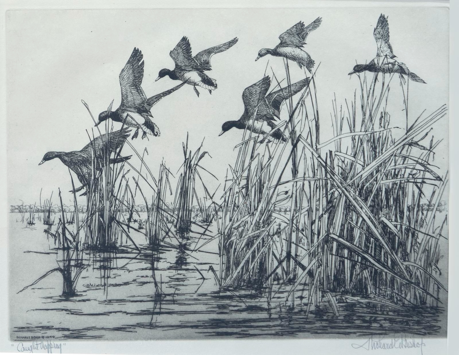 Richard Bishop | Caught Napping (1949) | MutualArt