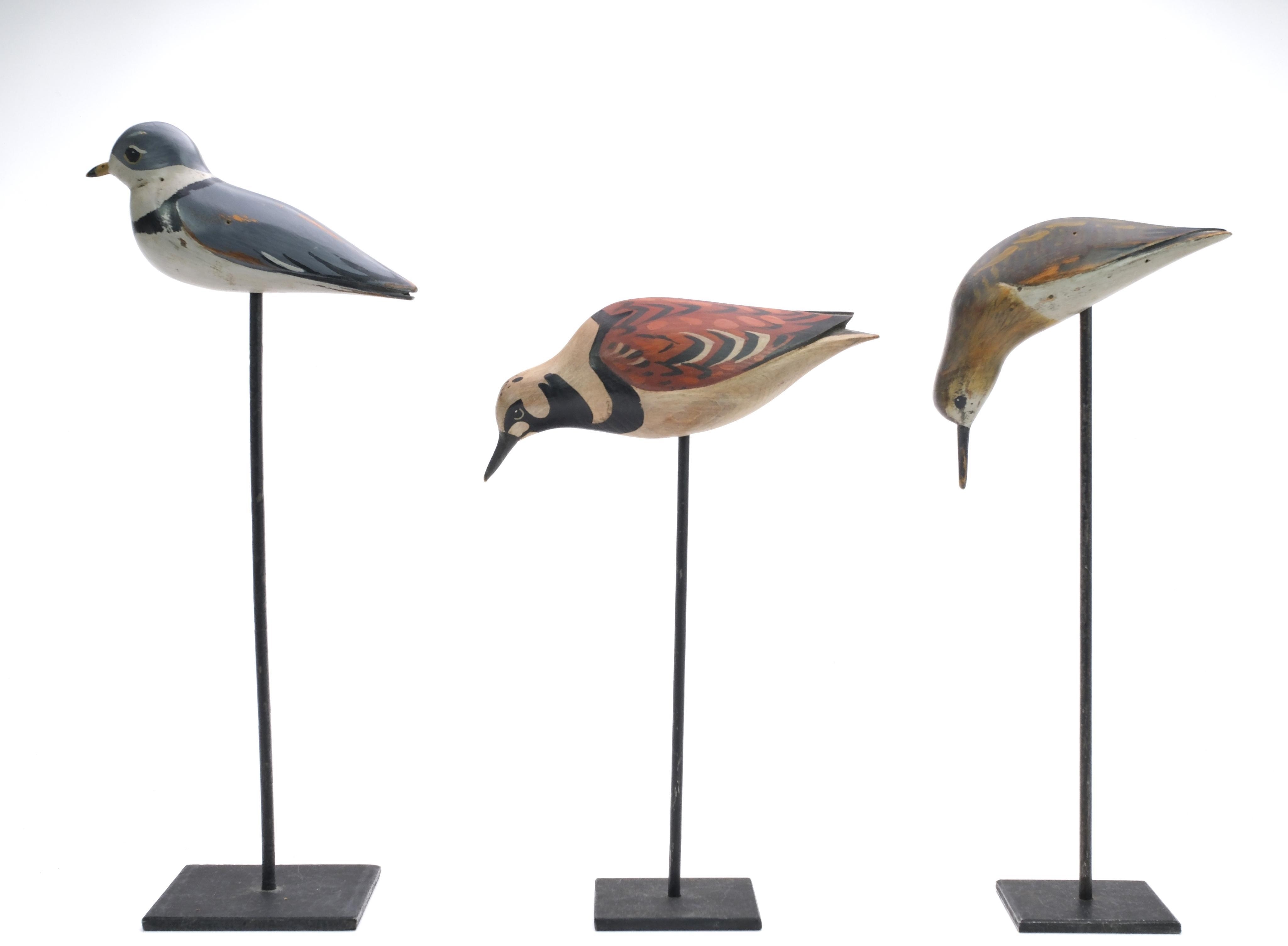 David Rhodes | Three shorebirds | MutualArt