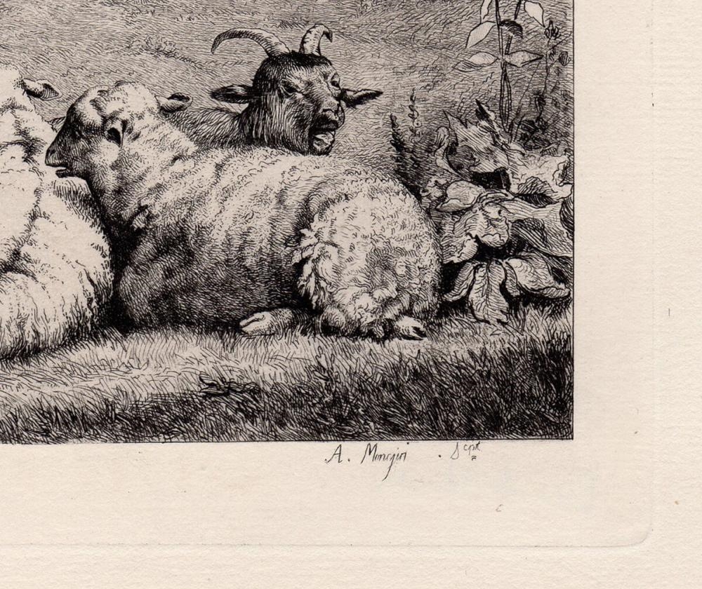 Karel Dujardin | Karel Dujardin Sheep and Goats etching signed | MutualArt