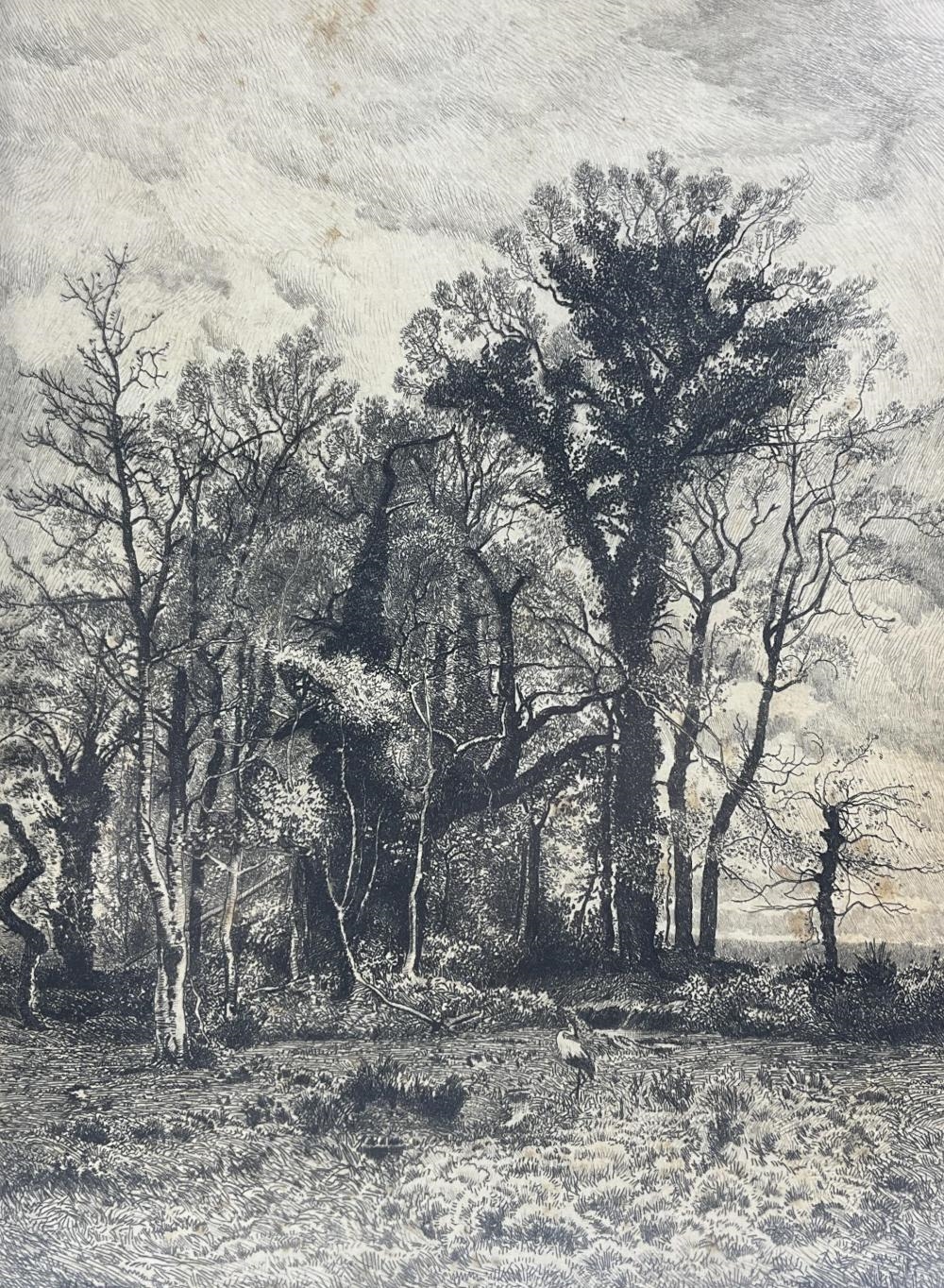 Peter Moran | Peter Moran 1886 The Edge Of The Swamp Engraving | MutualArt