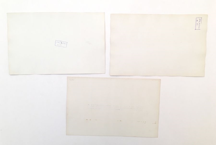 Albert Arthur Allen | . Female nude studies (Circa 1930) | MutualArt