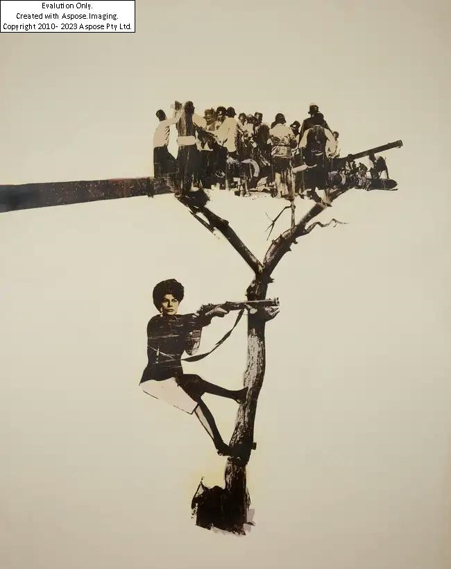 Amin Roshan | Iranian b.1982- Soraya Bakhtyari (2013) | MutualArt