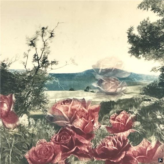 Gatja Helgart Rothe | Rosescape | MutualArt