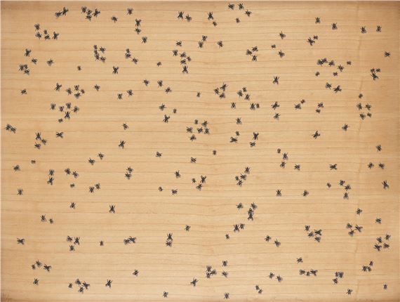 Ed Ruscha | Flies (from Insects Portfolio (1972) | MutualArt
