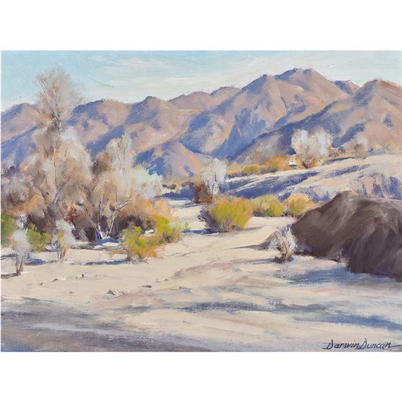 Darwin Duncan | Desert Hills | MutualArt