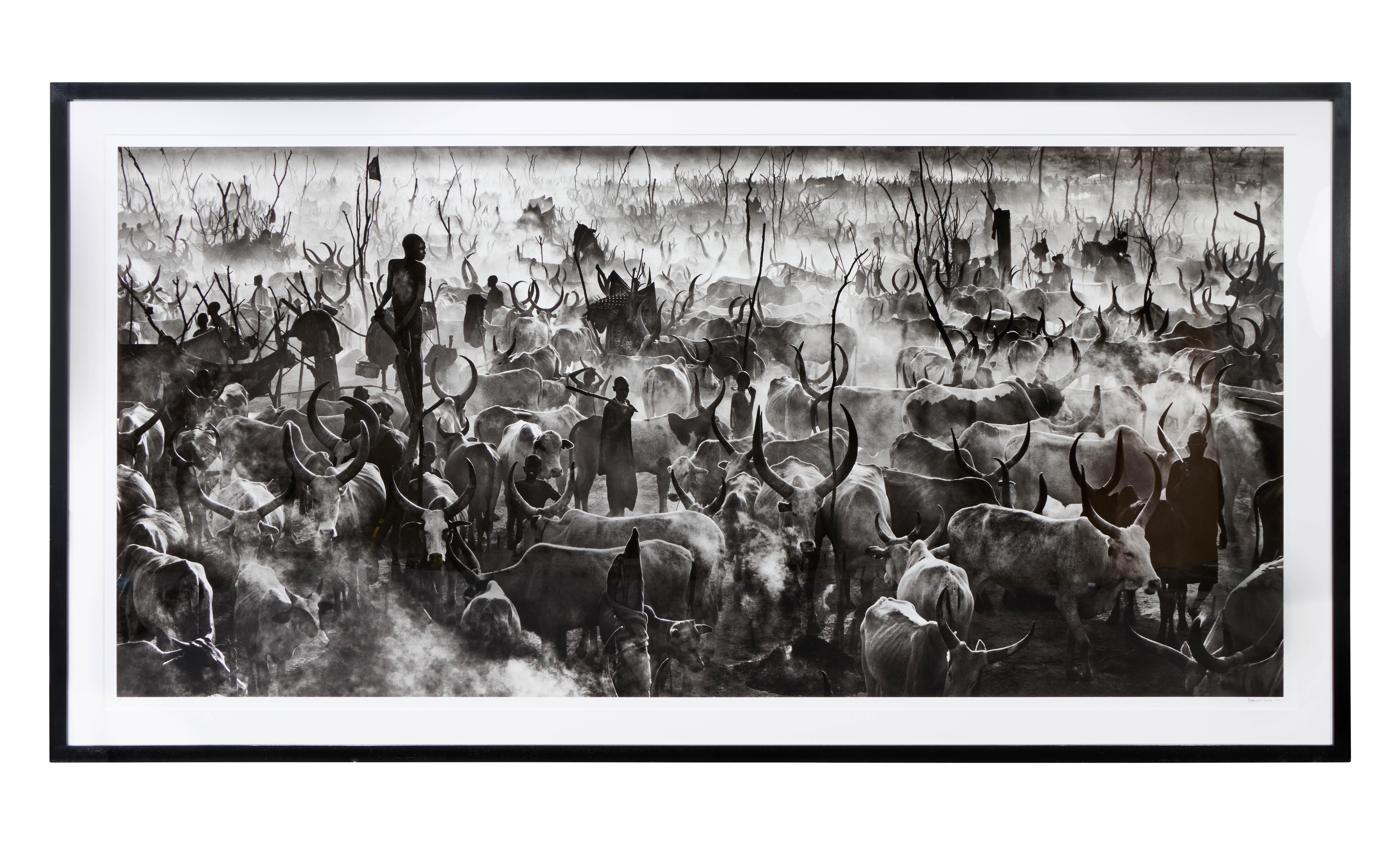 David Yarrow | Mankind (2014) | MutualArt