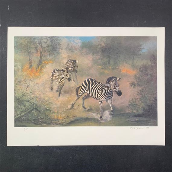 Peter Darro | Peter Darro | MutualArt