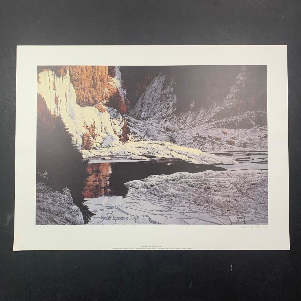 Donald Curley | Donald Curley's Canyon Light Limited Edition Print ...