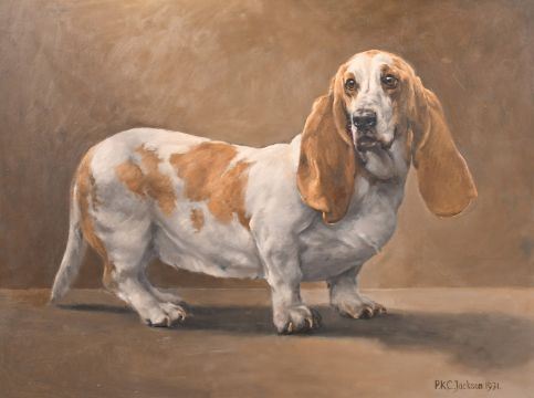 Peter Kenneth Cowley Jackson | Portrait of a long-eared Dachshund ...