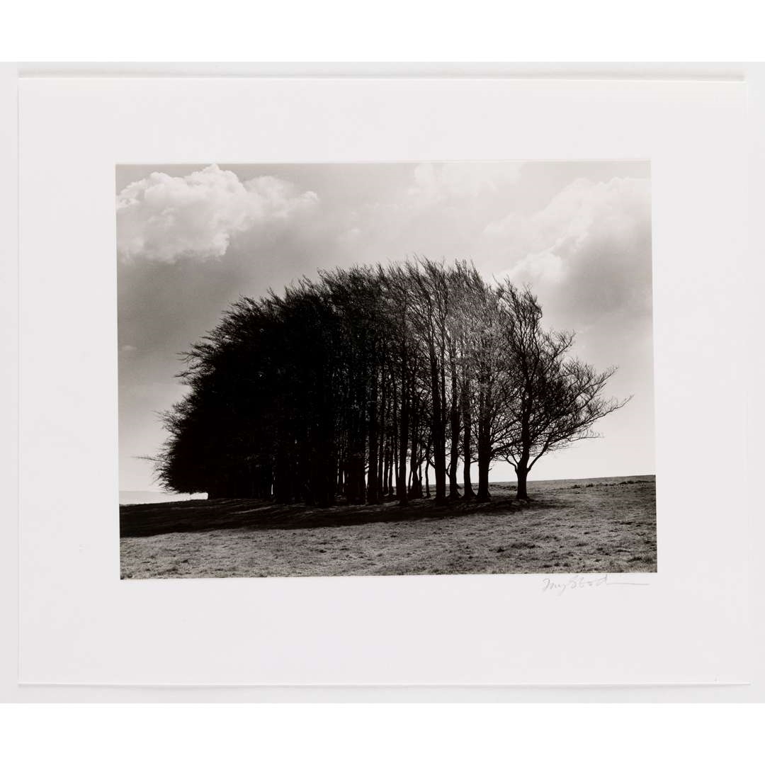 Fay Godwin | FIVE LANDSCAPES, c.1970s-1980s (Circa 1970s) | MutualArt