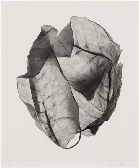 Howard Steinberg | 2 Artworks at Auction | MutualArt