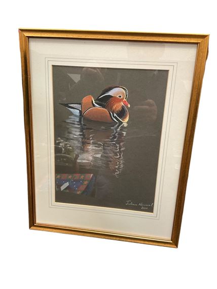 Julian Novorol | mandarin duck (2000) | MutualArt