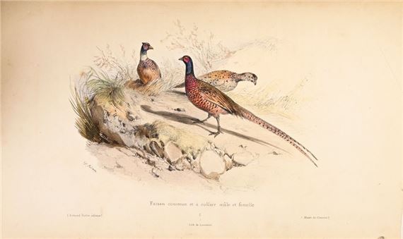 Adam Victor | Victor Musée du chasseur (1838) | MutualArt