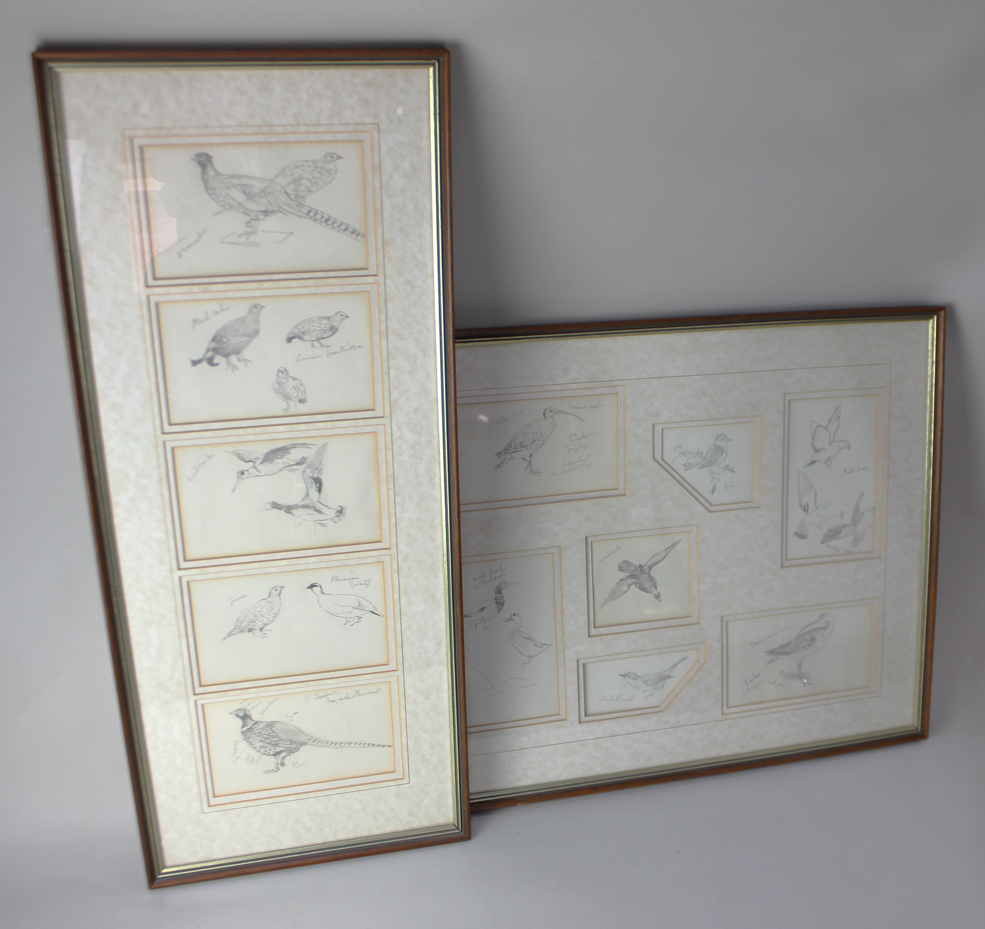 Ernest Howard Shepard | twelve annotated pencil sketches of birds to ...