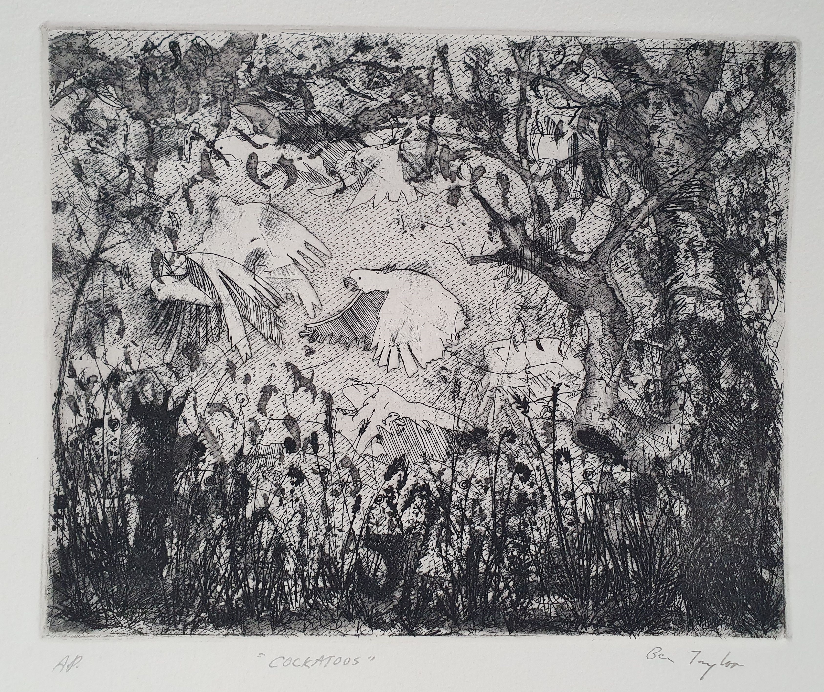 Ben Taylor | 'Cockatoos' | MutualArt
