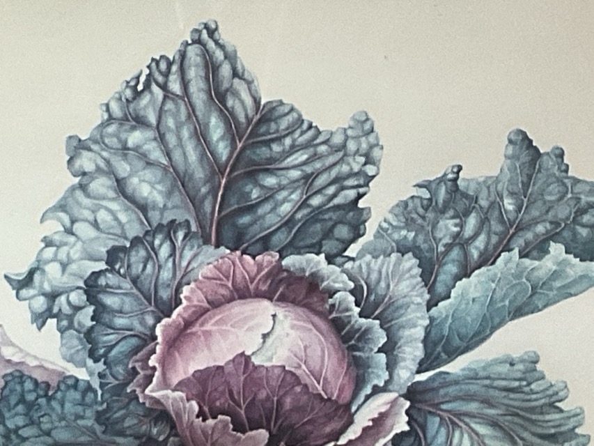 Elizabeth Cameron | signed in pencil and numbered | MutualArt