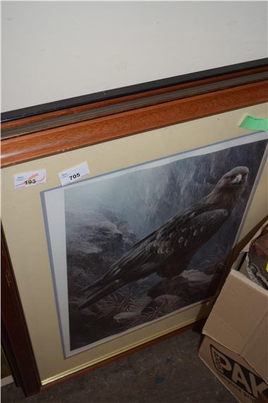 Raymond C. Watson | The Golden Eagle (85) | MutualArt