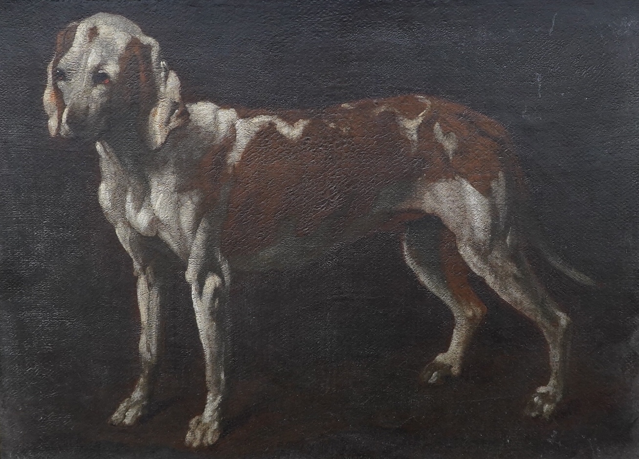 George Stubbs | Pumpkin (1794) | MutualArt