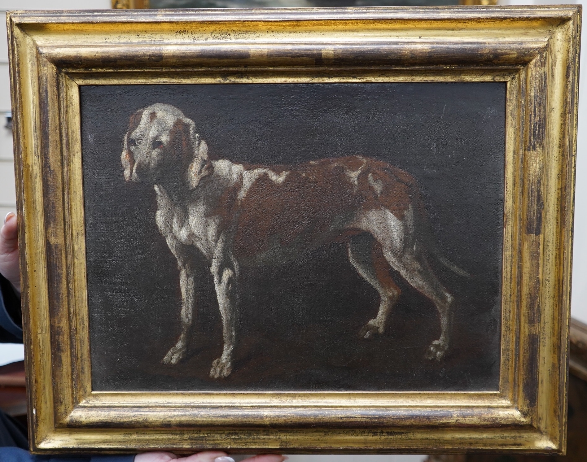 George Stubbs | Study of a hound | MutualArt