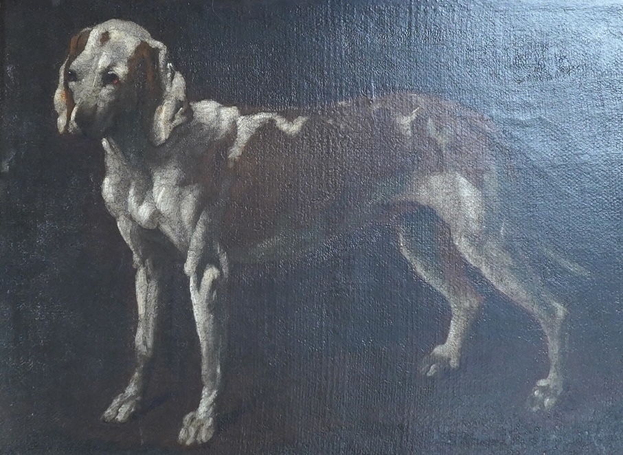 George Stubbs | Study of a hound | MutualArt