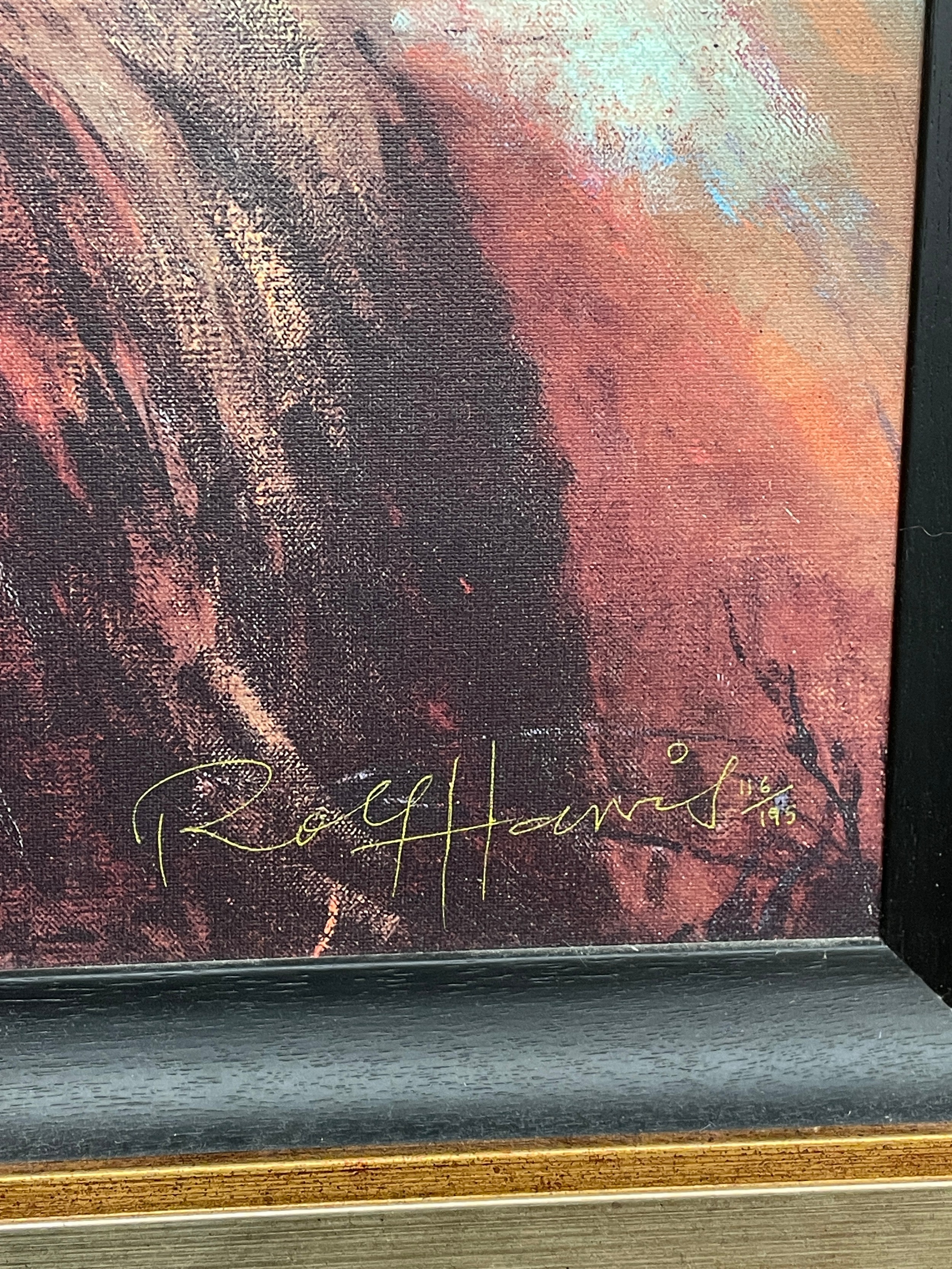 Rolf Harris | ROLF HARRIS / CANVAS WINDSWEPT LION | MutualArt