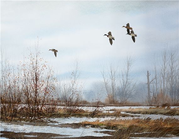 David Hagerbaumer | Mallards (1966) | MutualArt