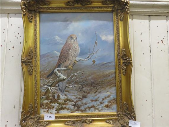 Elizabeth Halstead | Kestrel on Branch | MutualArt