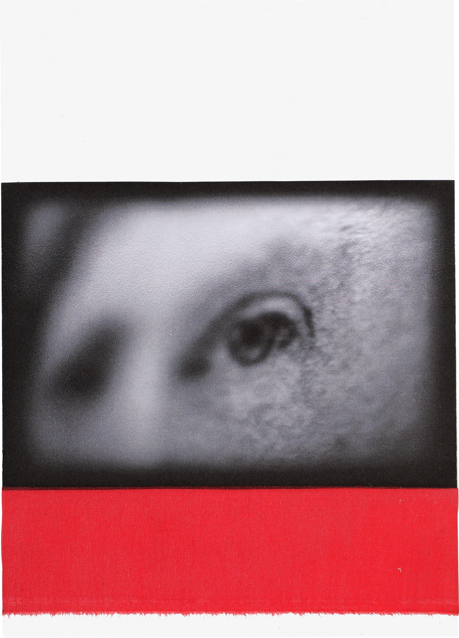 Ann Hamilton | Untitled; and Untitled (2010) | MutualArt