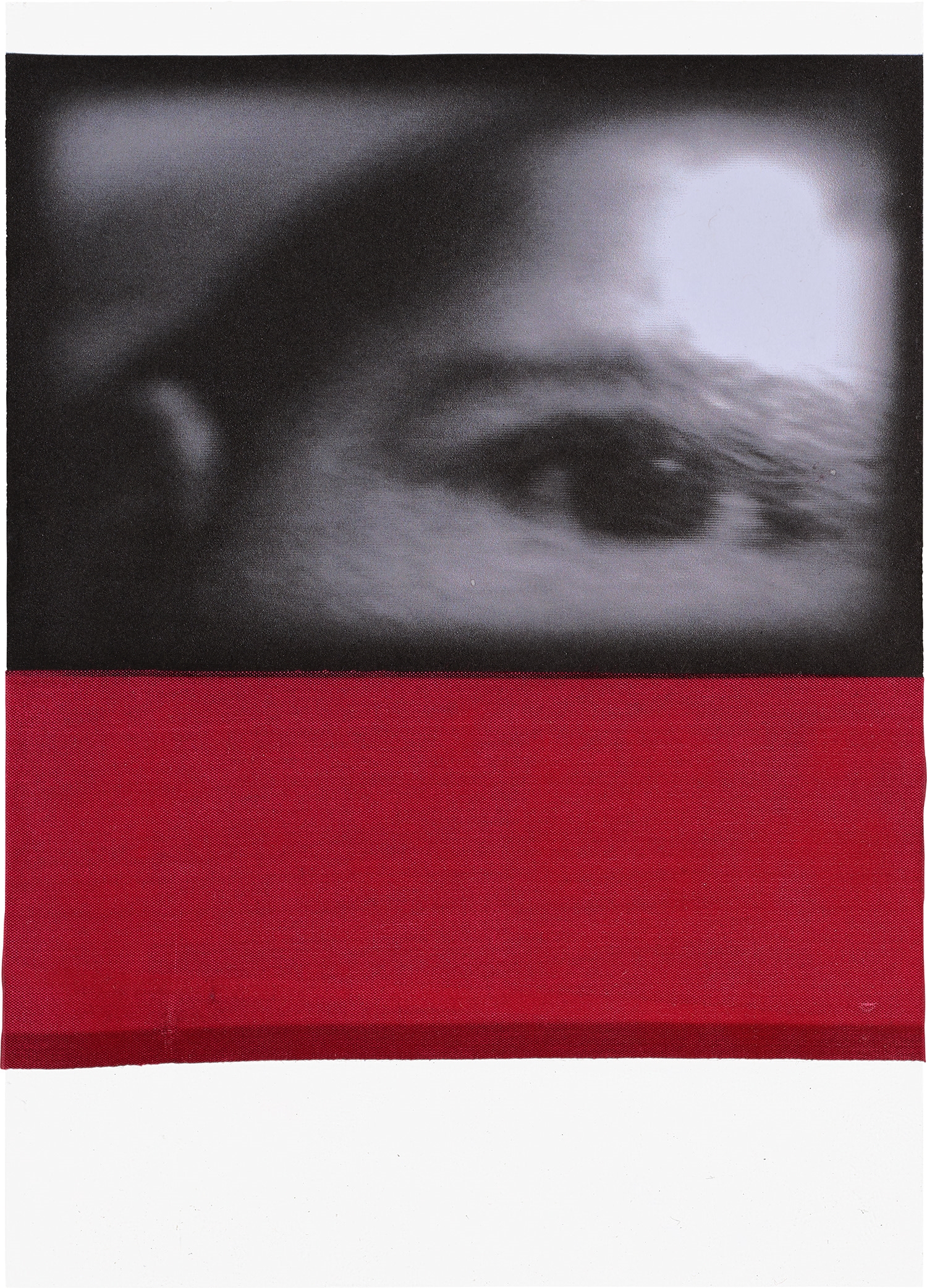 Ann Hamilton | Untitled; and Untitled (2010) | MutualArt