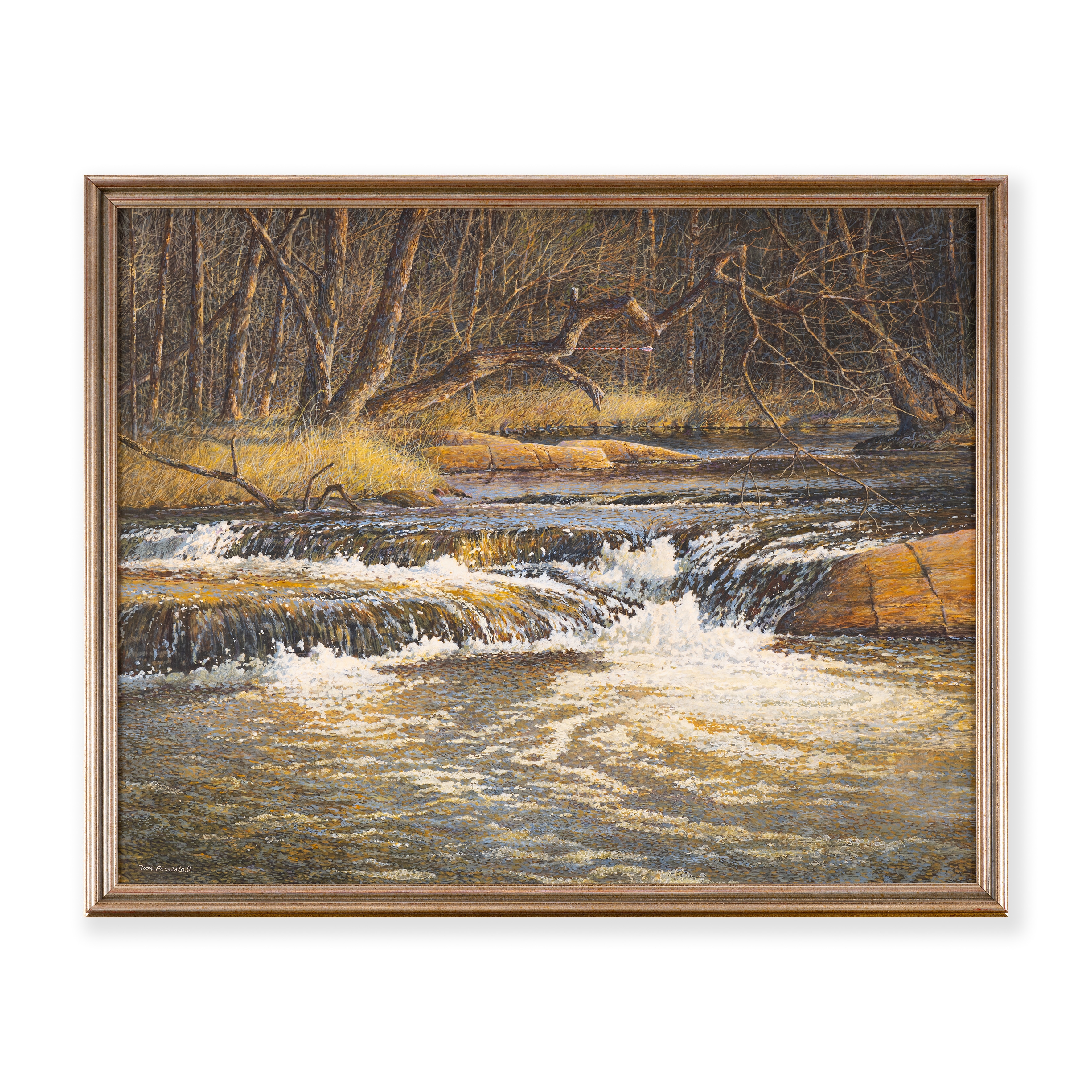 Thomas Devany Forrestall | Waterfalls Early Morning 1980 A meticulously ...