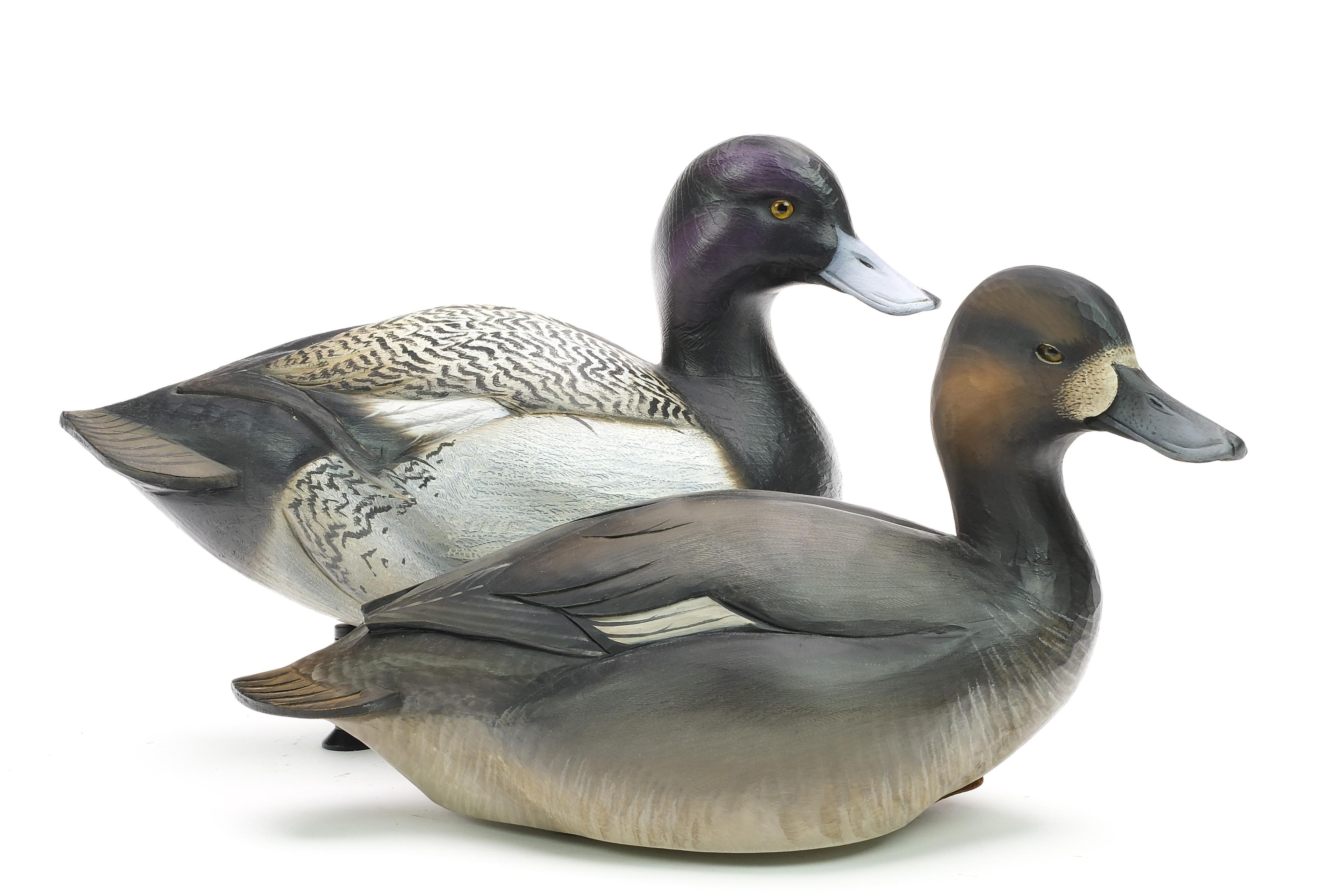 Sean Sutton | Pair of bluebills | MutualArt