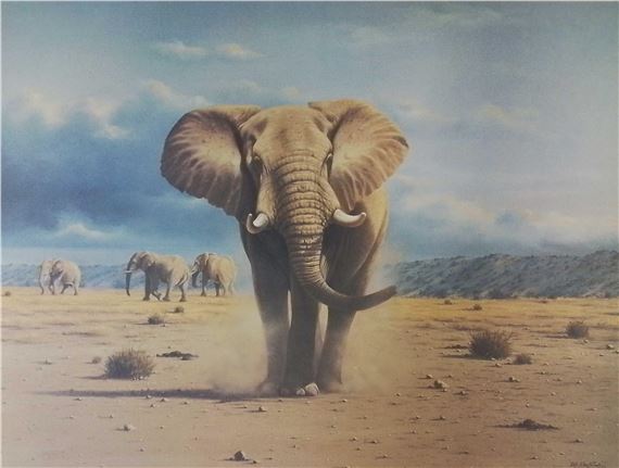 Robert Macintosh | elephant Territory; winter Siesta | MutualArt