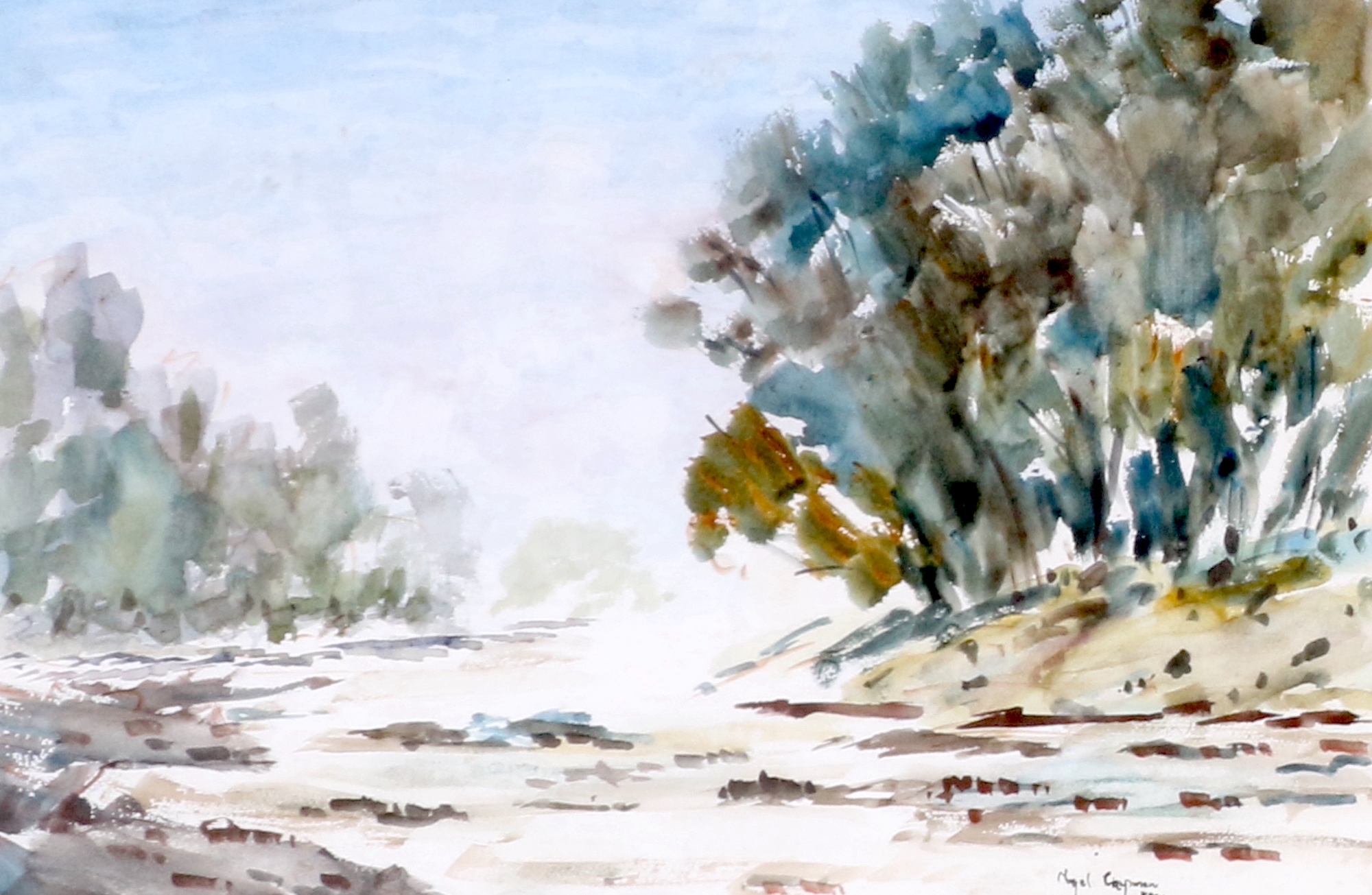 Nigel Chapman | LANDSCAPE | MutualArt