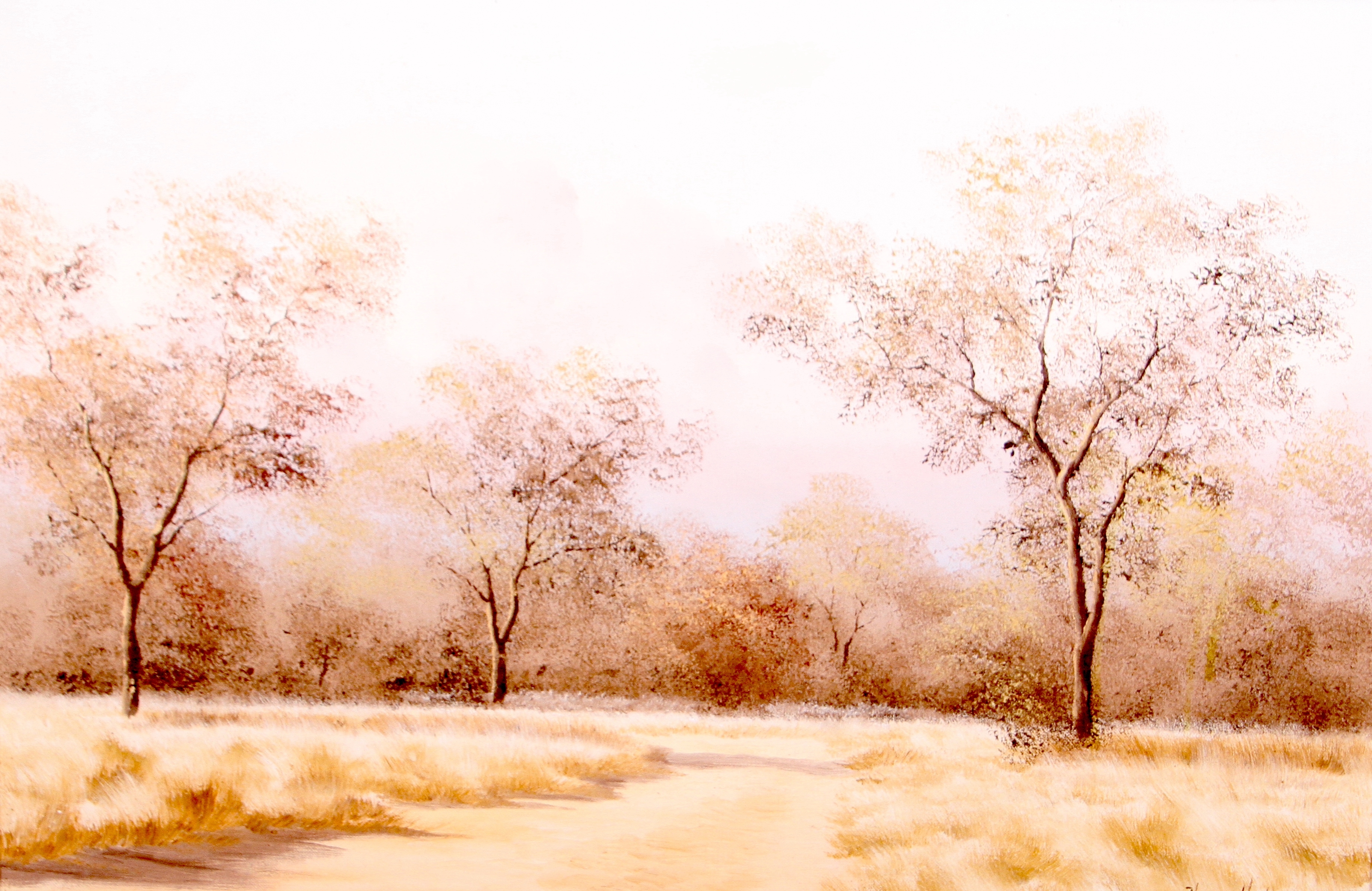 Thomas Hacking | WINTER BUSHVELD LANDSCAPE WITH TREES | MutualArt