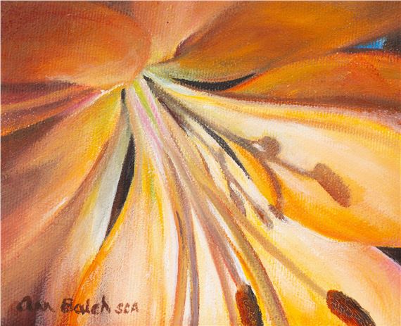 Ann Balch | Biography