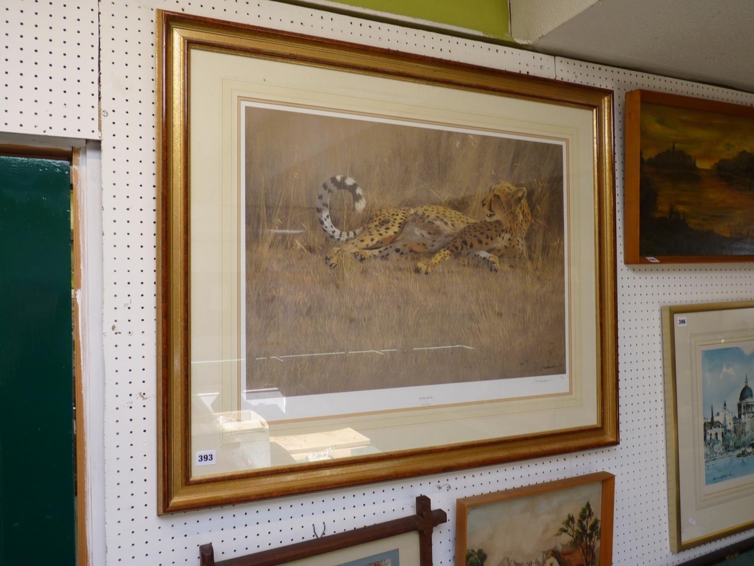 Kim Donaldson | Noon Siesta | MutualArt