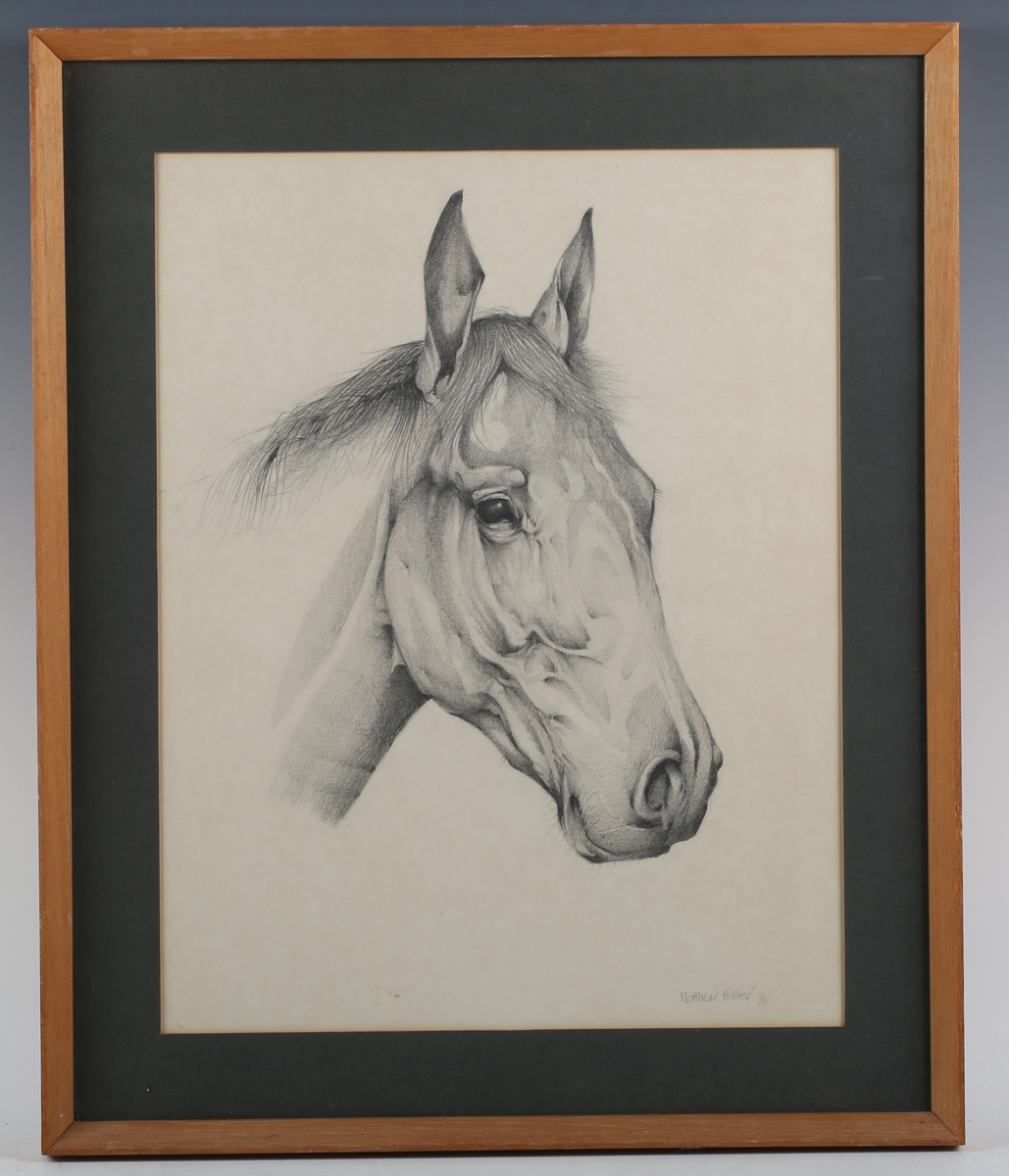 Matthew Hillier | Pencil Study of a Horse (1976) | MutualArt