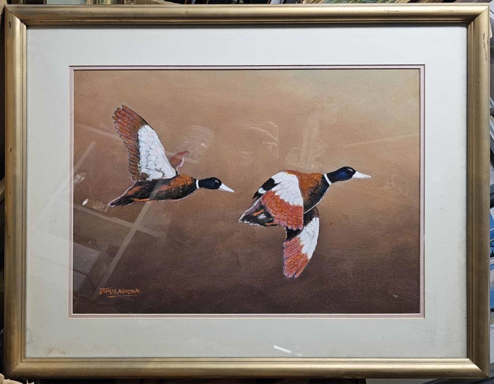 James Morton | Flying Ducks | MutualArt