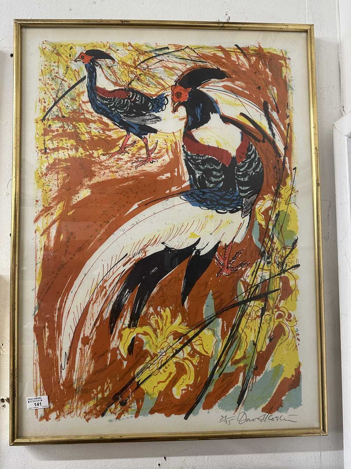 David Koster | peacocks | MutualArt