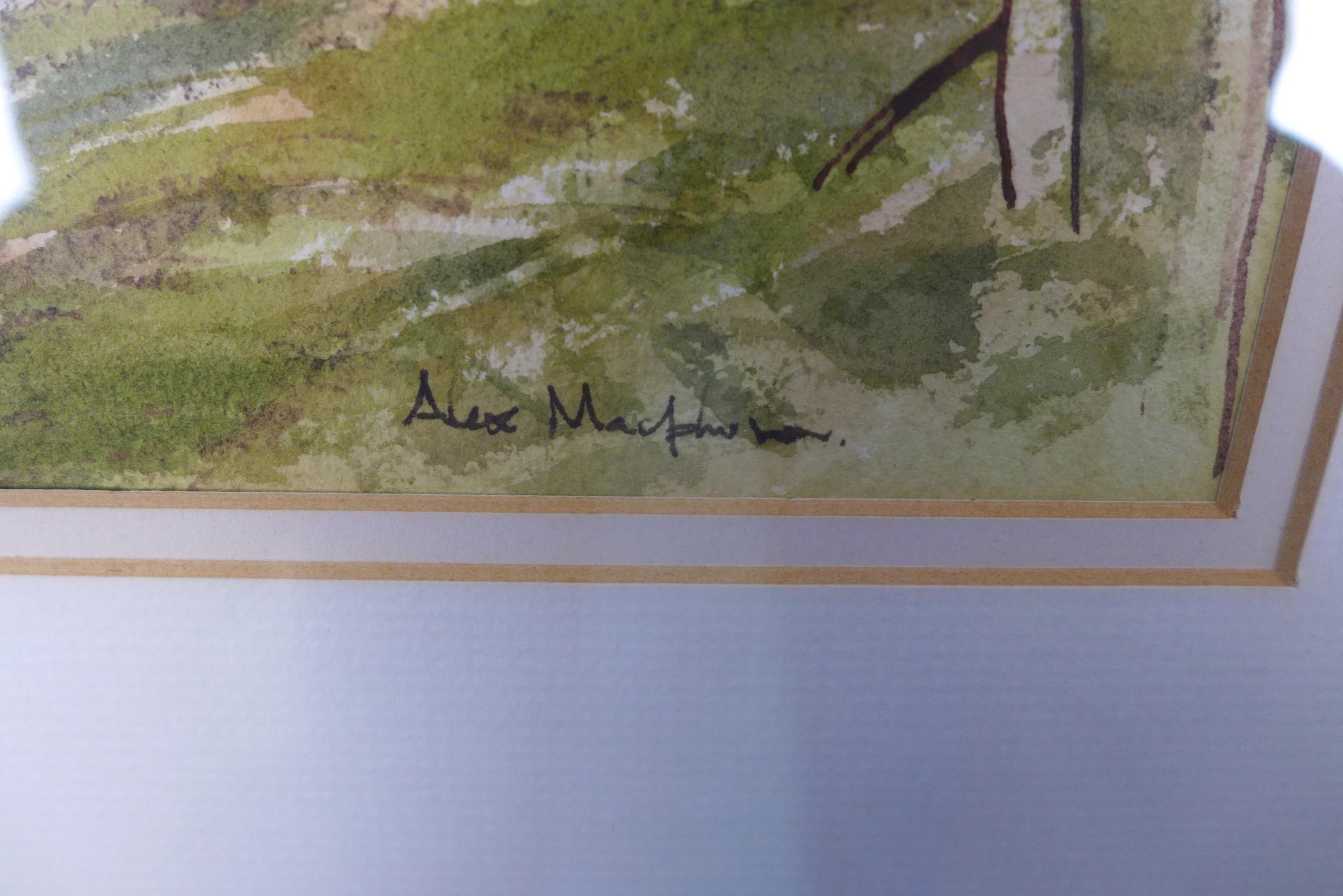 Alex Macpherson | COALIS | MutualArt