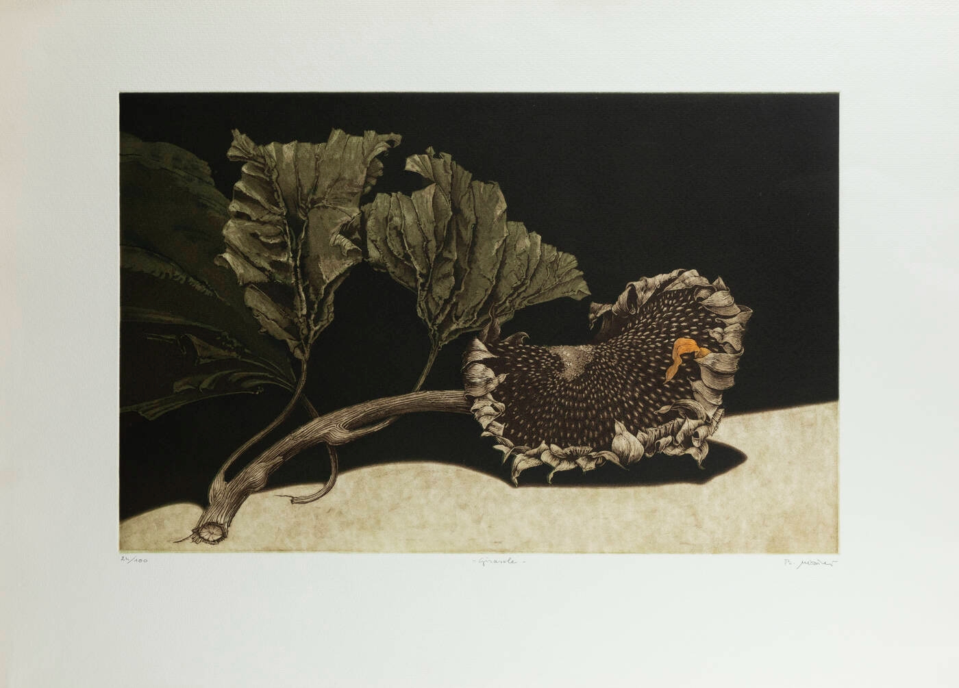 Bruno Missieri | Girasole | MutualArt