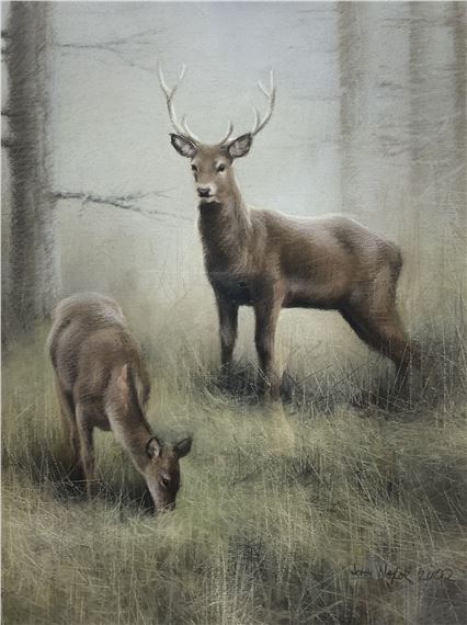 John Naylor | Stag and Doe in Woodland (2002) | MutualArt