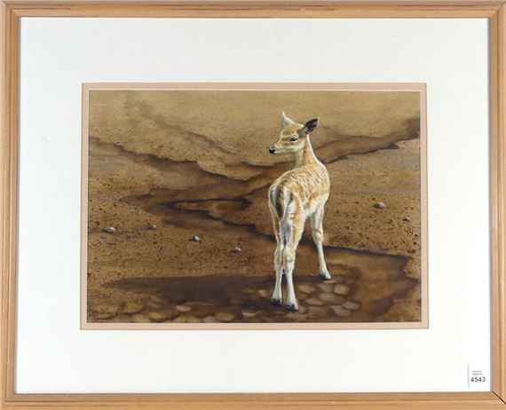 G. Smith | An original watercolour on paper depicting a young fawn ...