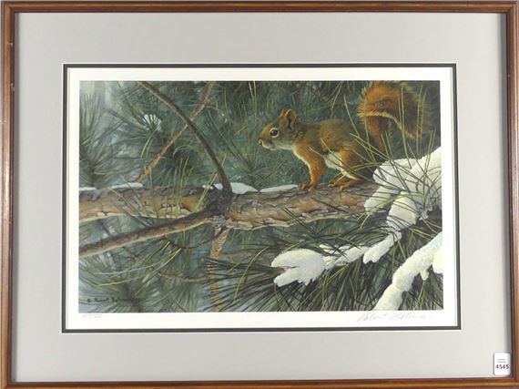 Robert Bateman | Red Squirrel | MutualArt