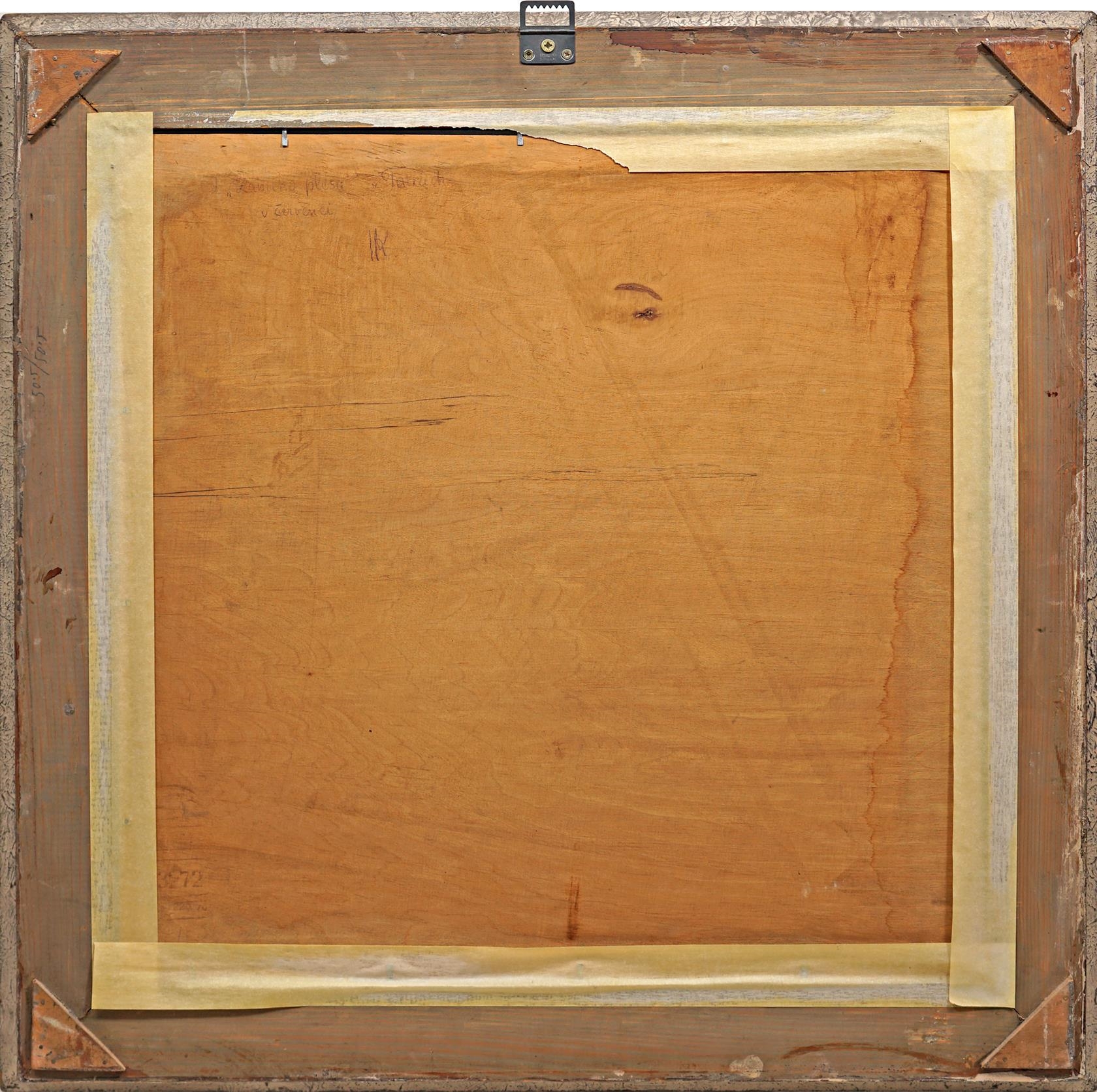 Viktor Kutzer | Tatry | MutualArt