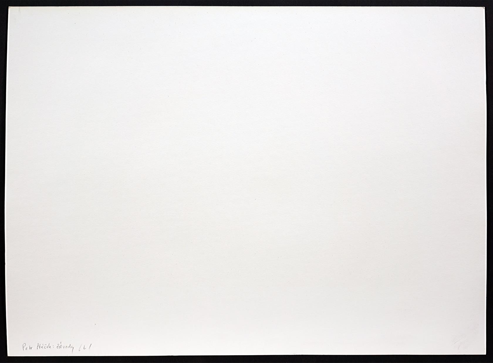 Petr Ptáček | Závody | MutualArt