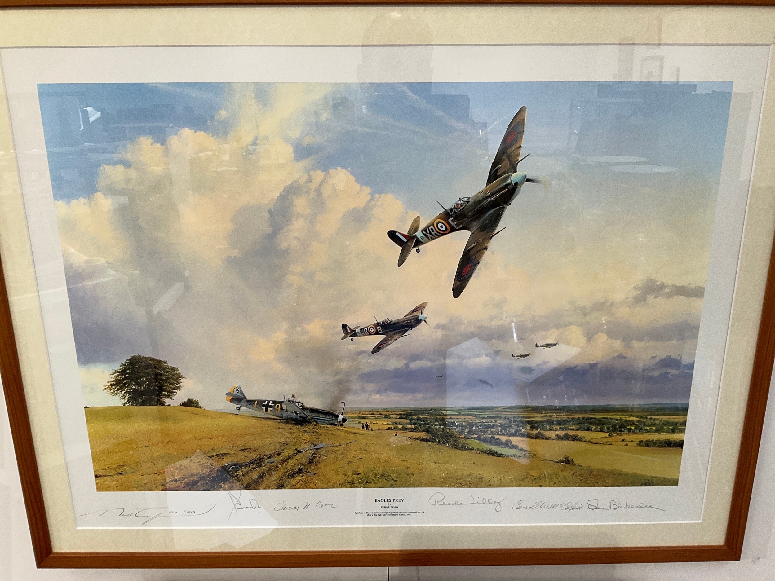 Robert Taylor | Eagles' Prey | MutualArt
