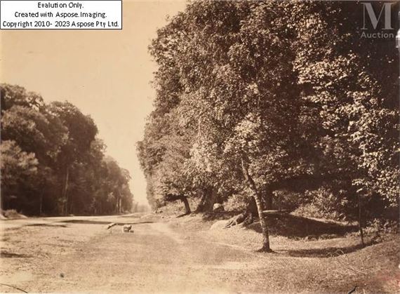 Gustave le Gray | La Forêt de Fontainebleau : le Pavé de Chailly (1856 ...