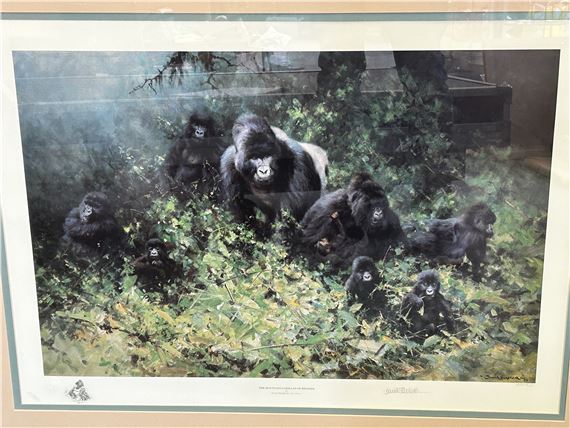 David Shepherd | David shepherd limited edition signed print The mo ...