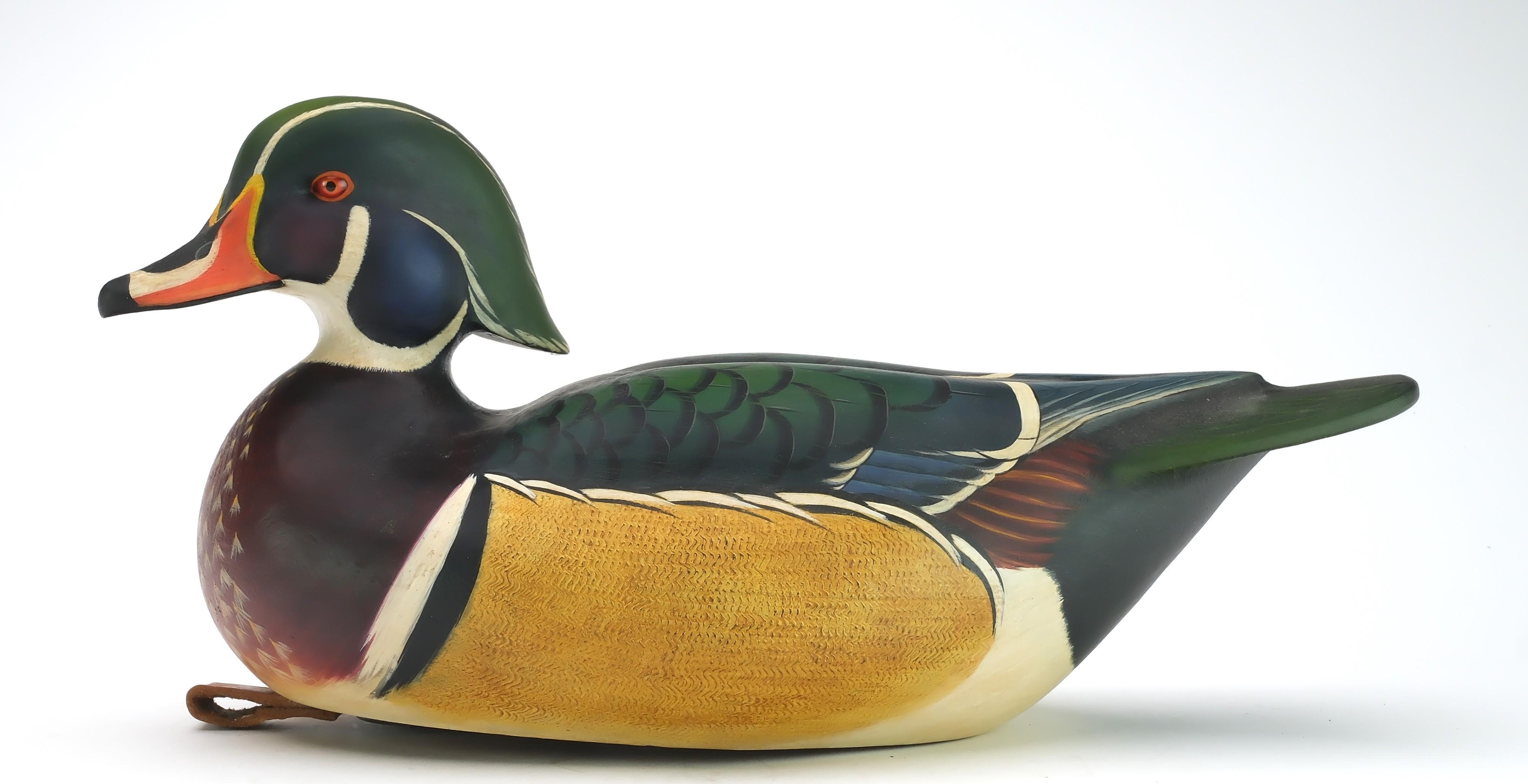 Ben Heinemann | Wood duck | MutualArt